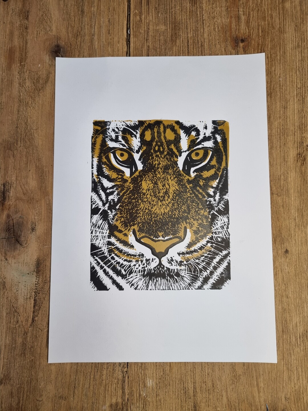 Tiger, Hand Printed Original Lino Print, A4 - Etsy