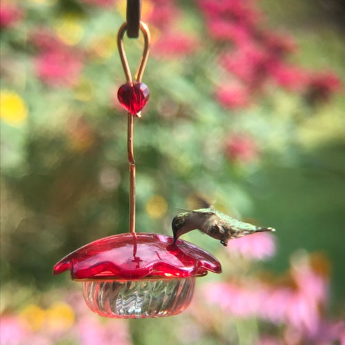 Sea Glass Hummingbird Swing / Hummingbird Swing With Feeder - Etsy