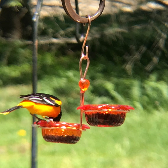 Homemade Oriole Food