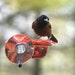 Window Oriole Feeder - Etsy