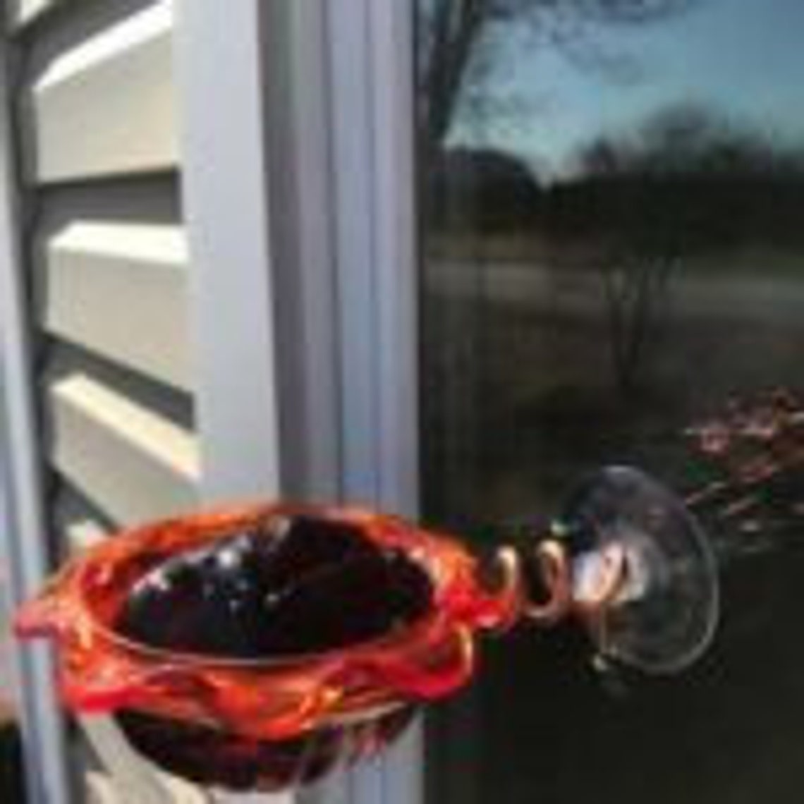 Window Oriole Feeder | Etsy