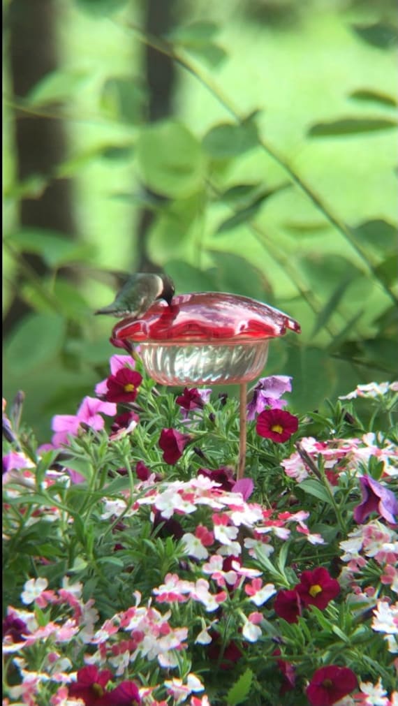 Flower Pot Hummingbird Feeder - Etsy