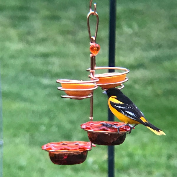 Oriole Feeder - Etsy