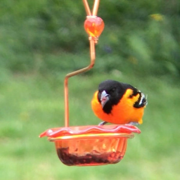 Oriole Feeder - Etsy