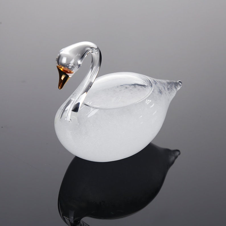 Swan Storm Glass Water Drop Weather Forecast Predictor Monitor - Etsy