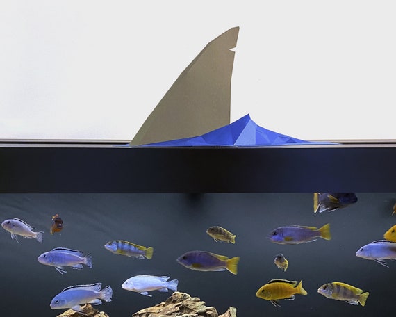 Shark Fin With Wave Decor Fin PDF Template 3D Shark Fin Paper Sculpture ...