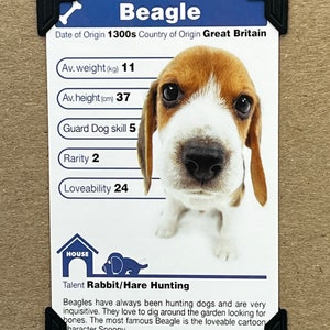 Beagle - the Dog Top Trumps Artlist Collectoon Keepsake Greeting Card ...