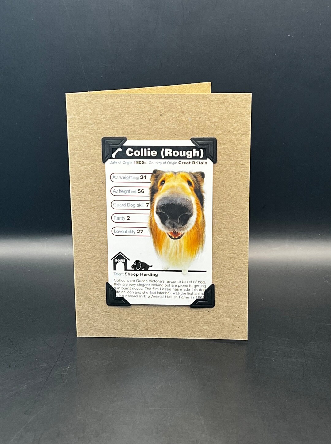 Rough Collie - the Dog Top Trumps Artlist Collectoon Keepsake Greeting ...