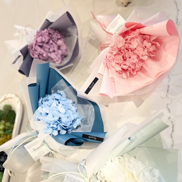 Preserved Hydrangea - Etsy