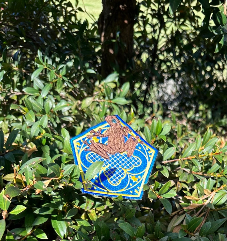 Wizard Frog Patches - Etsy