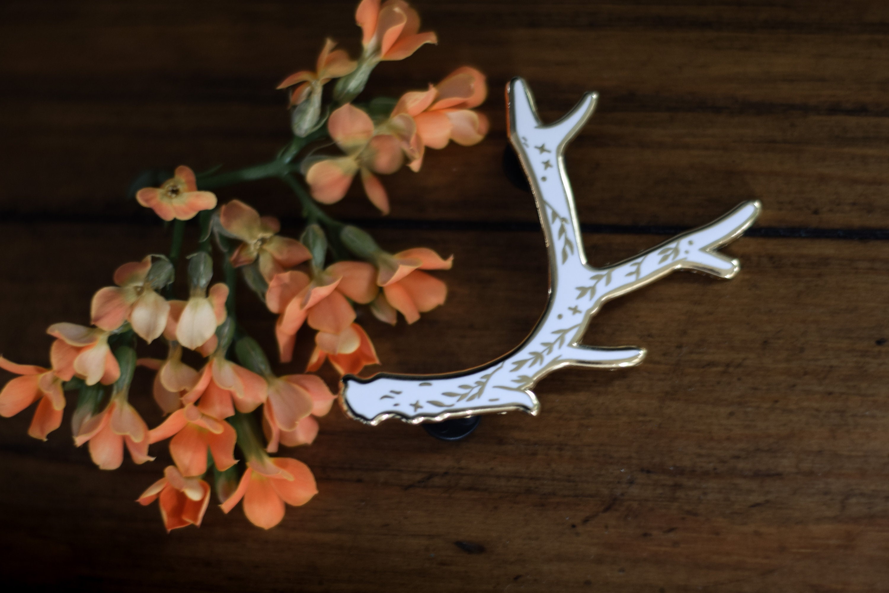 Antler pin store