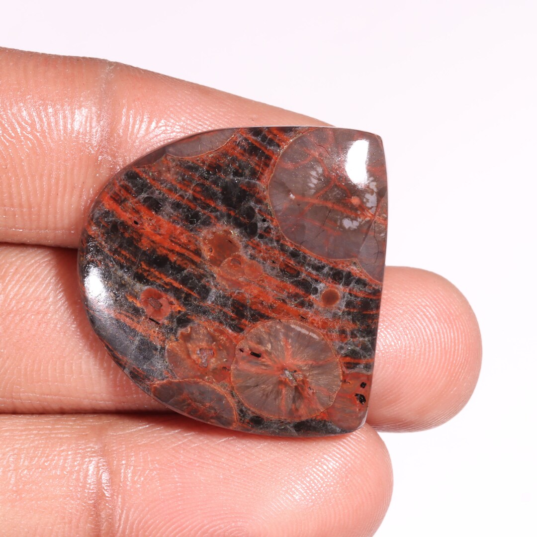 Dazzling Top Quality Natural Bird Eye Jasper D Shape Cabochon - Etsy