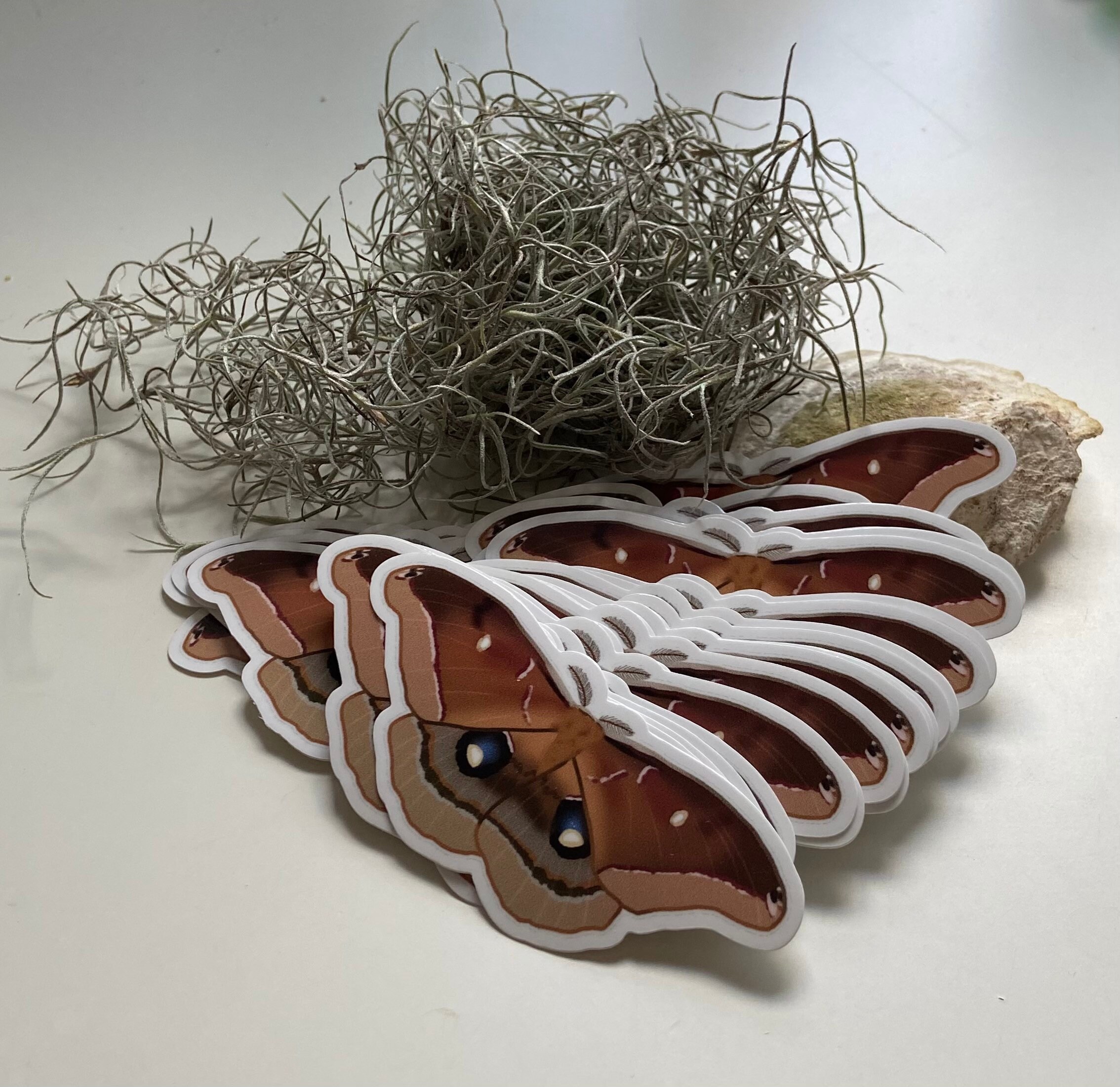 Polyphemus Moth Luna Moth Stickers Seperate - Etsy