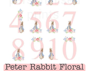Pink Peter Rabbit Png - Etsy