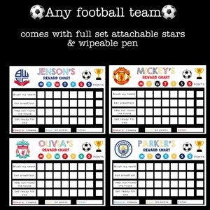 Personalised Re-usable Reward Chart With Velcro Stars, Wipeable Pen for ...