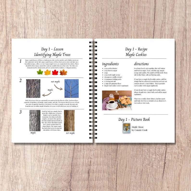 Maple Sugaring / Unit Study / Maple Syrup / Tapping Trees / Homeschool ...