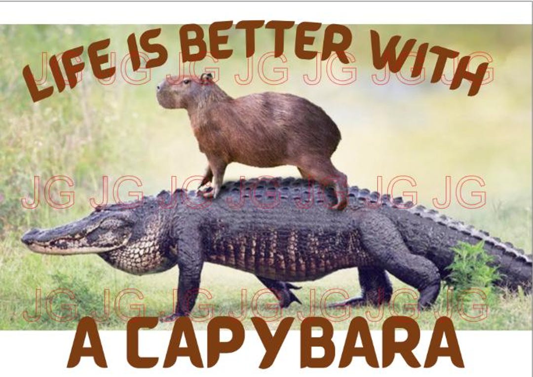 Life is Better With a Capybara and a Gator - Etsy