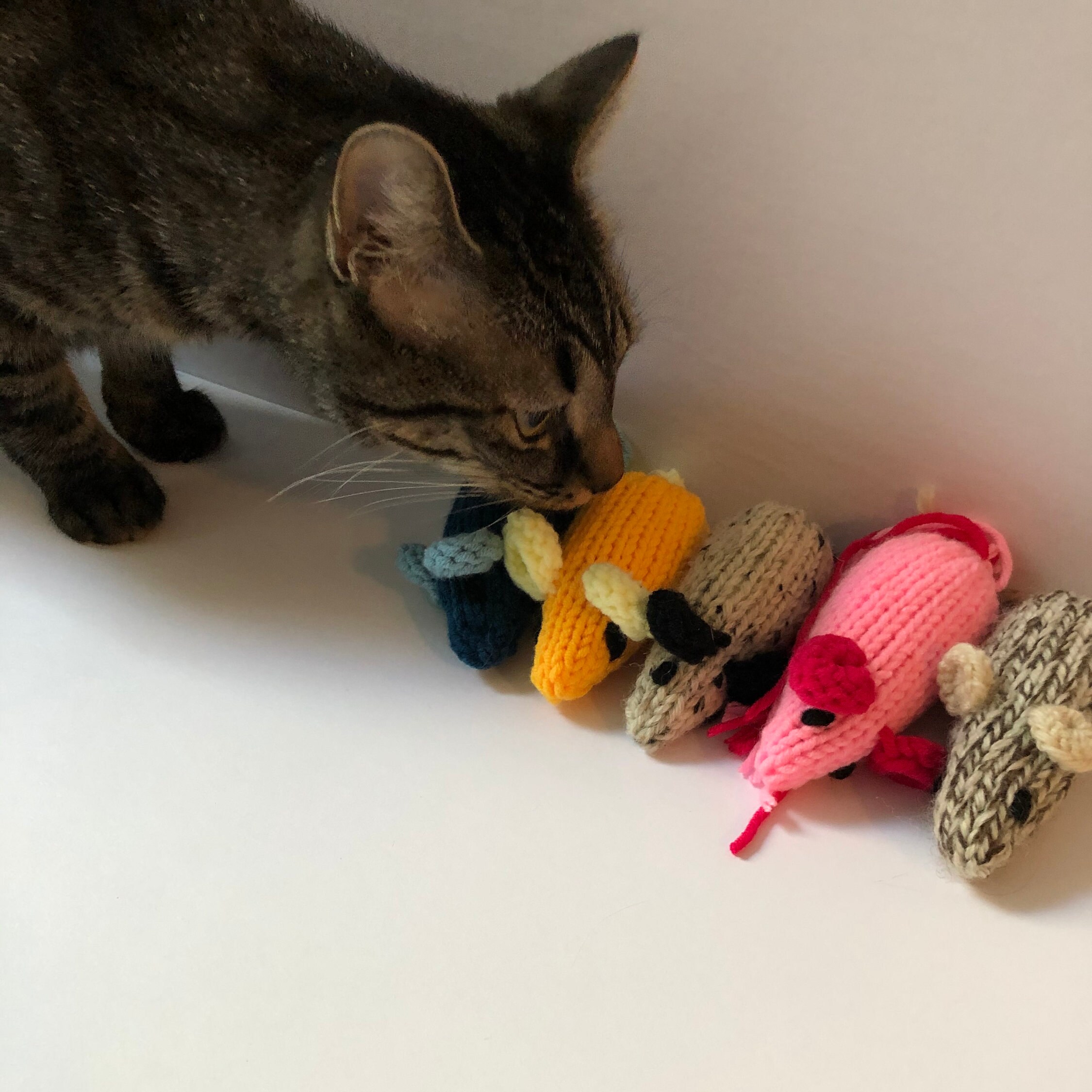 Catnip Toy Hand Knit Mouse Cat Toy Eco-friendly Cat Toy - Etsy