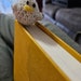 Crochet Chicken Bookmark PDF Pattern - Etsy