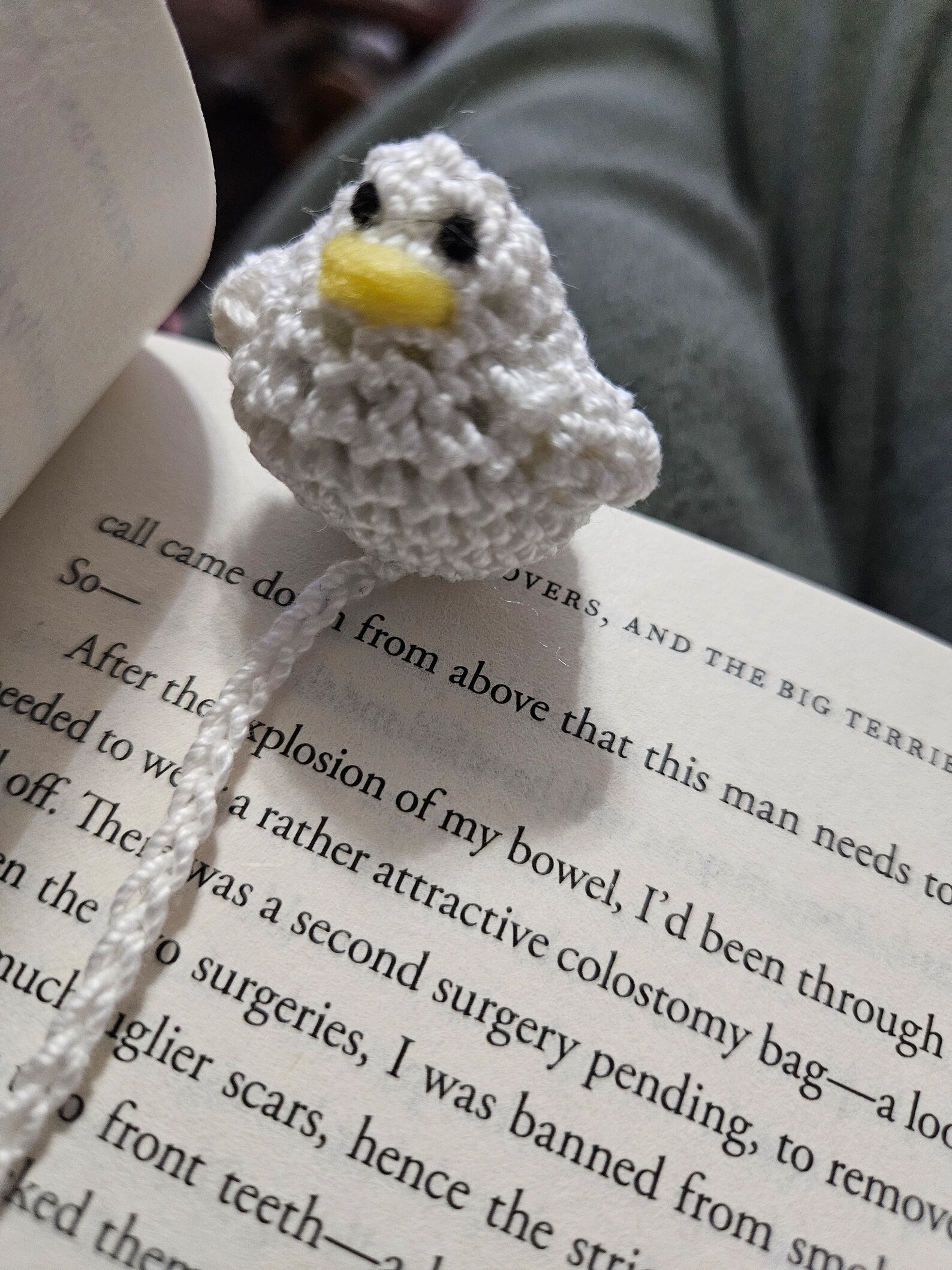 Crochet Chicken Bookmark PDF Pattern - Etsy
