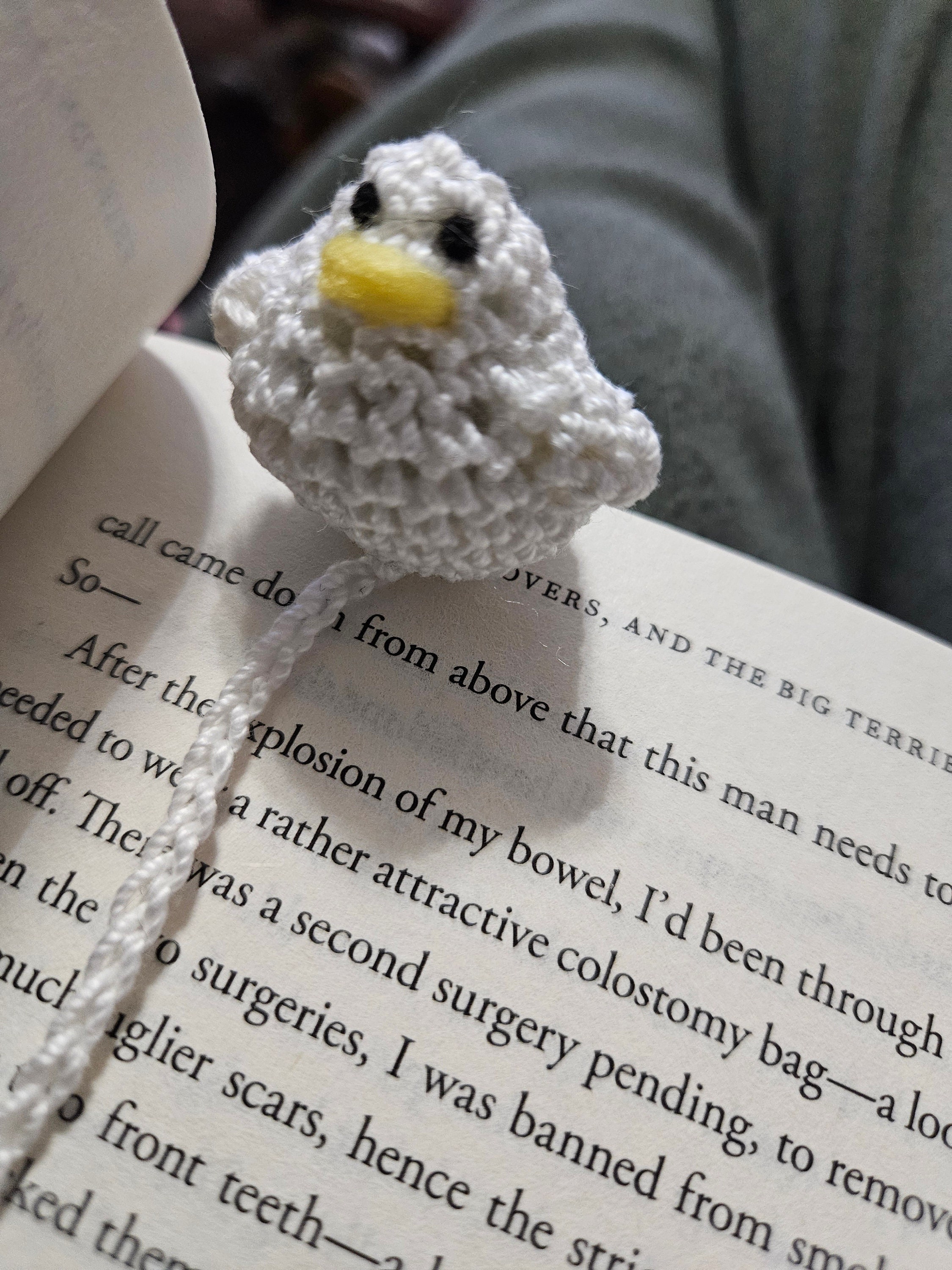 Crochet Chicken Bookmark PDF Pattern - Etsy