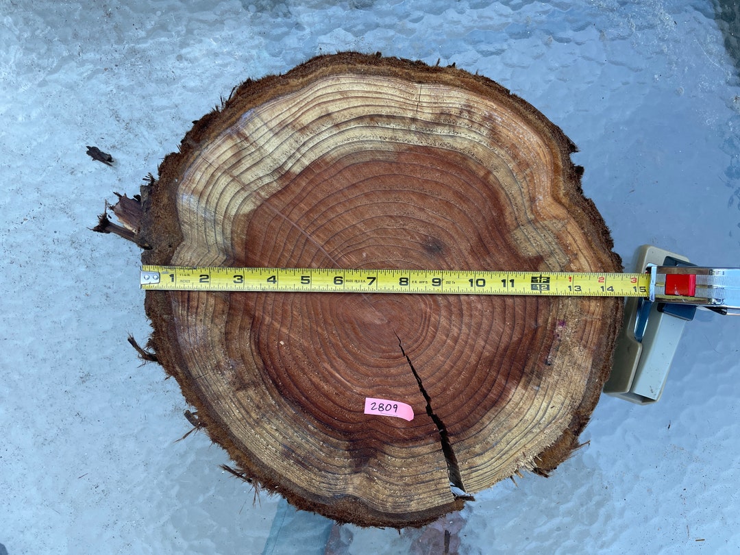 14-15 Wide X 2 Thick Redwood Slice Live Edge - Etsy