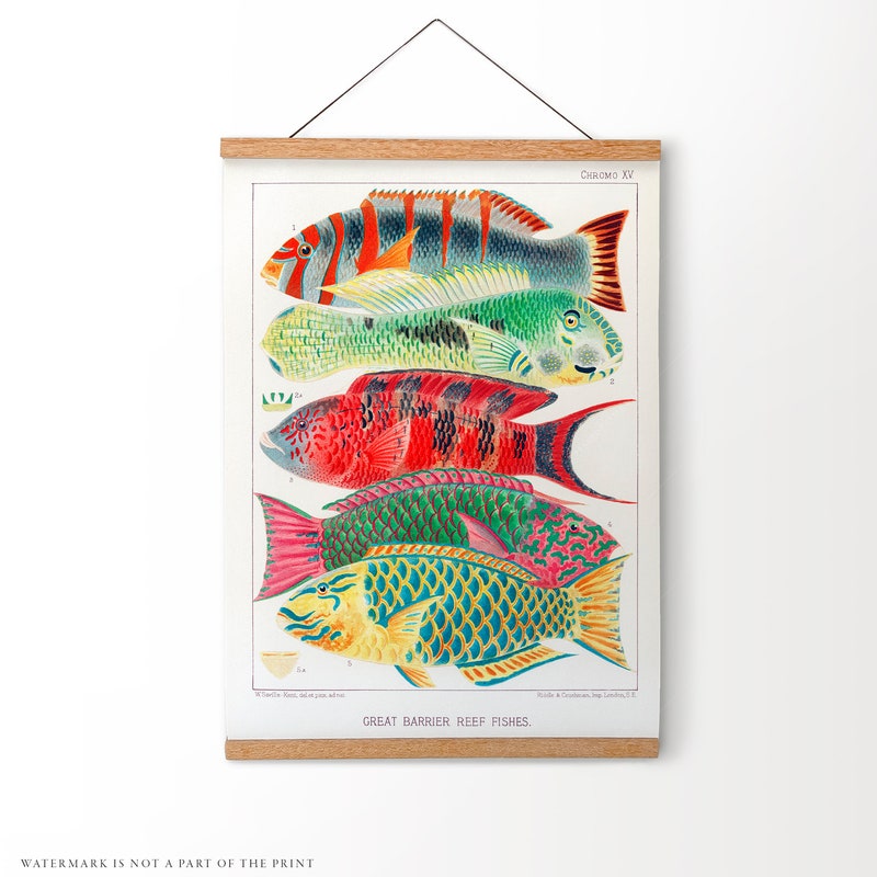 Seafood Posters - Etsy