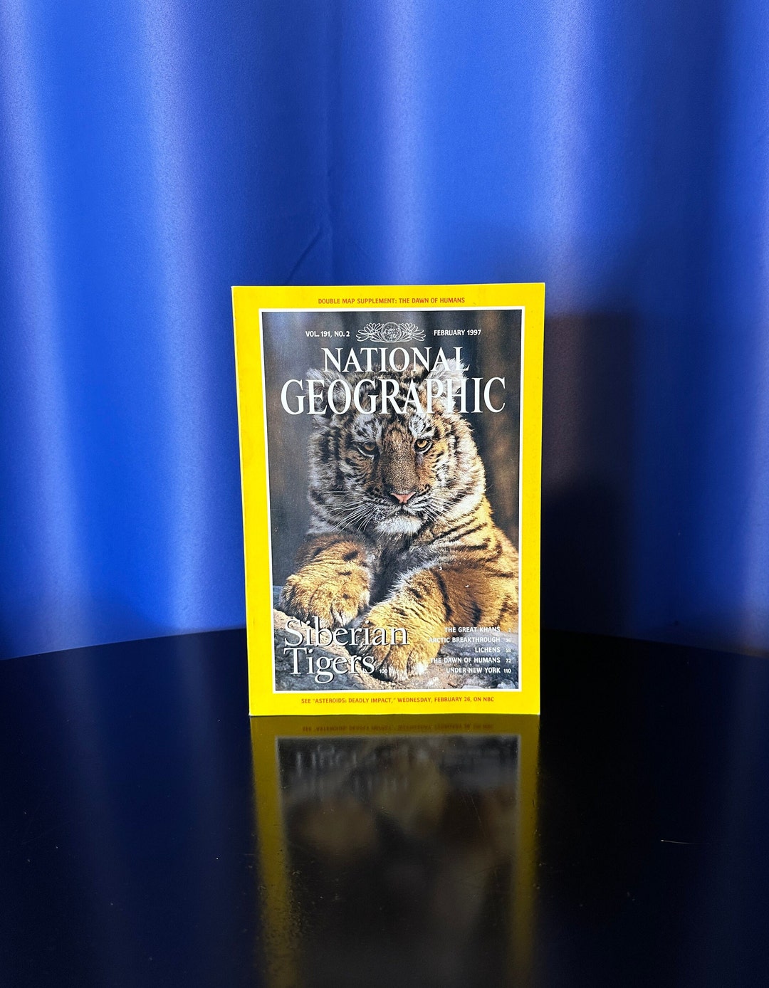 National Geographic - February 1997 - Siberian Tigers Cover Story - Etsy