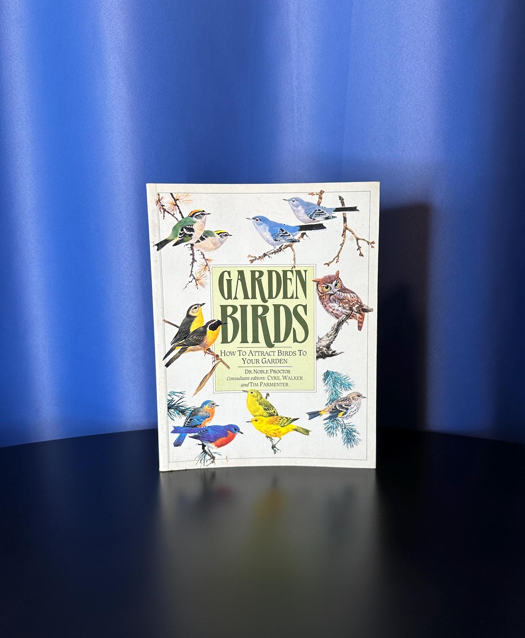 Garden Birds : How to Attract Birds to Your Garden by Noble Proctor ...