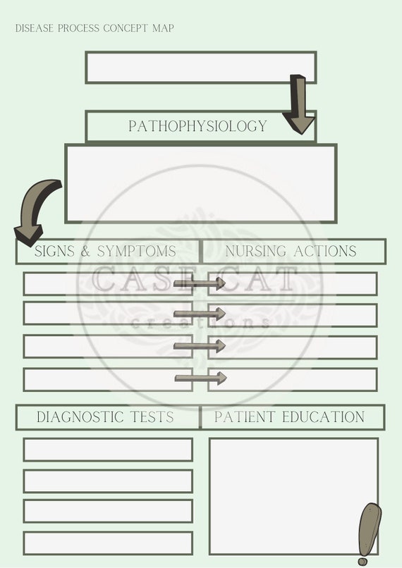 Nursing Concept Map - Etsy