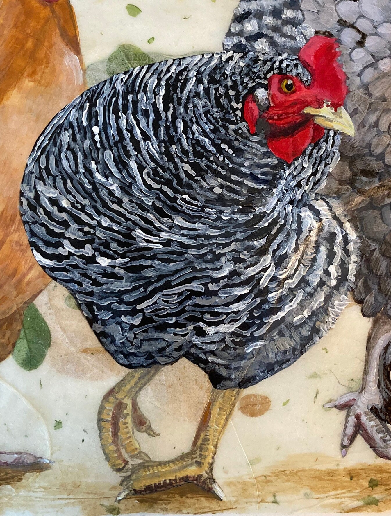 Chicken Painting: Buff Orpington, Barred Rock, Lavender Orpington on ...