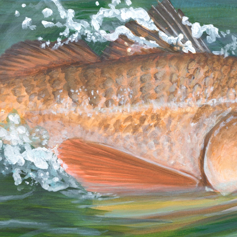 Redfish Fighting in Water Splash Original Print, Louisiana Redfish ...