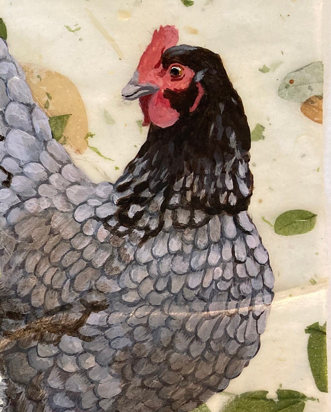 Painted Chicken, Buff Orpington Chicken, Black or Barred Rock Chicken ...