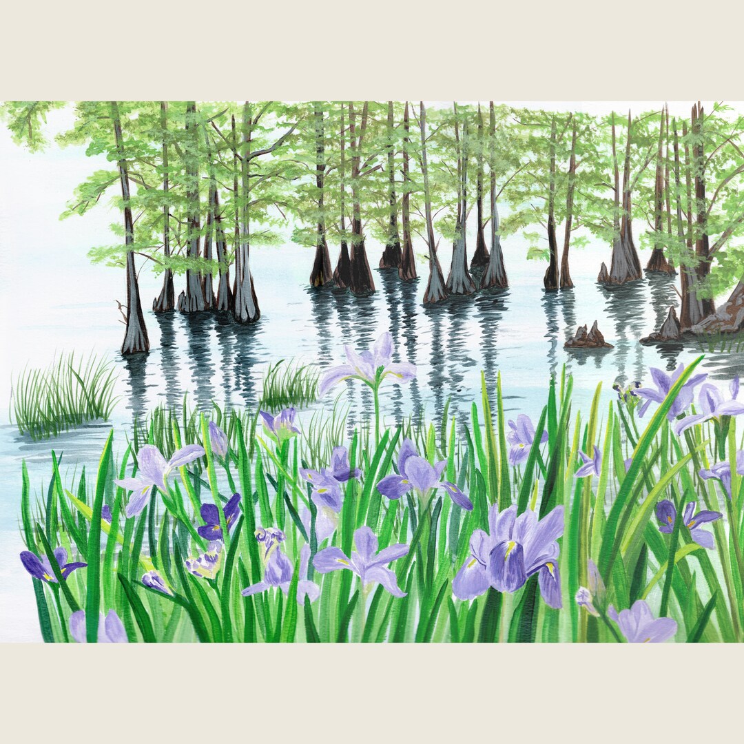 Louisiana Cypress & Iris Giclee Print: Lake Decade Waterscape - Etsy