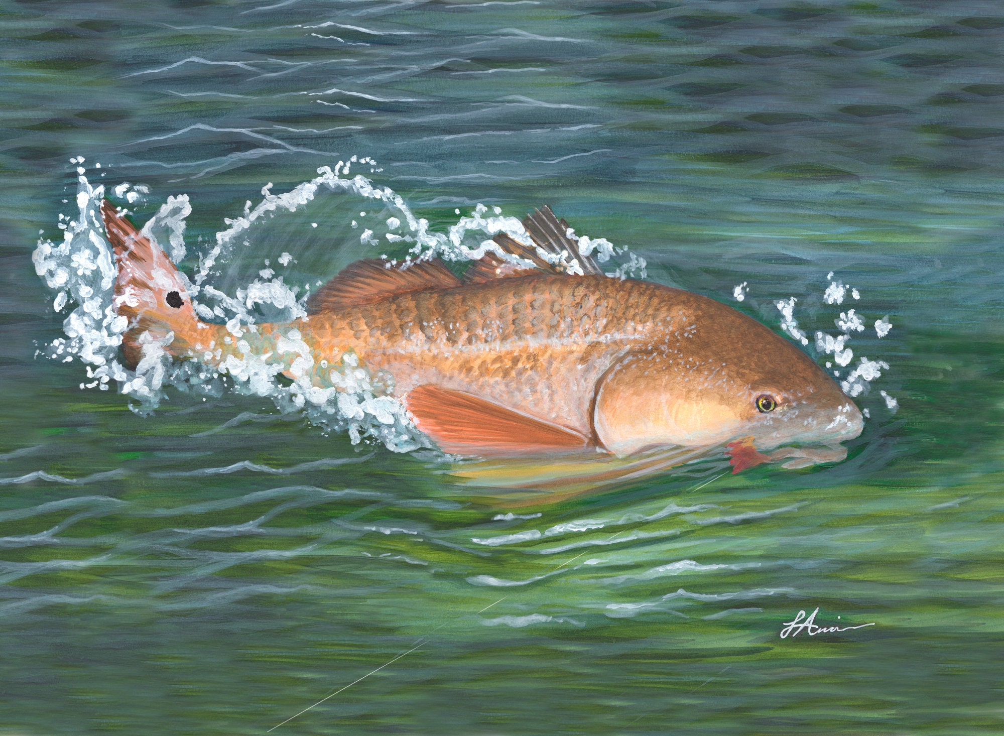 Redfish Fighting in Water Splash Original Print, Louisiana Redfish ...