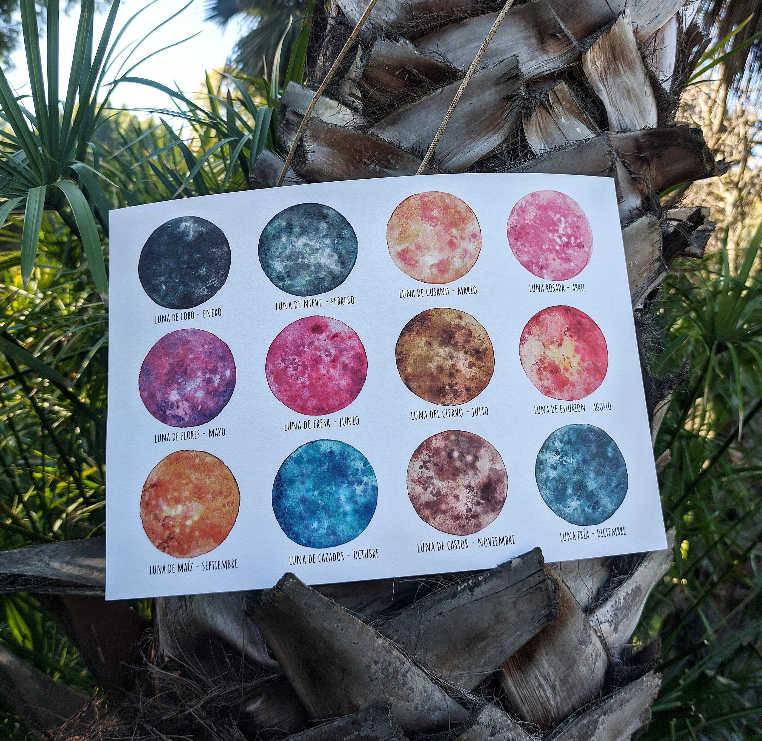 12 Full Moons of the Year - Etsy