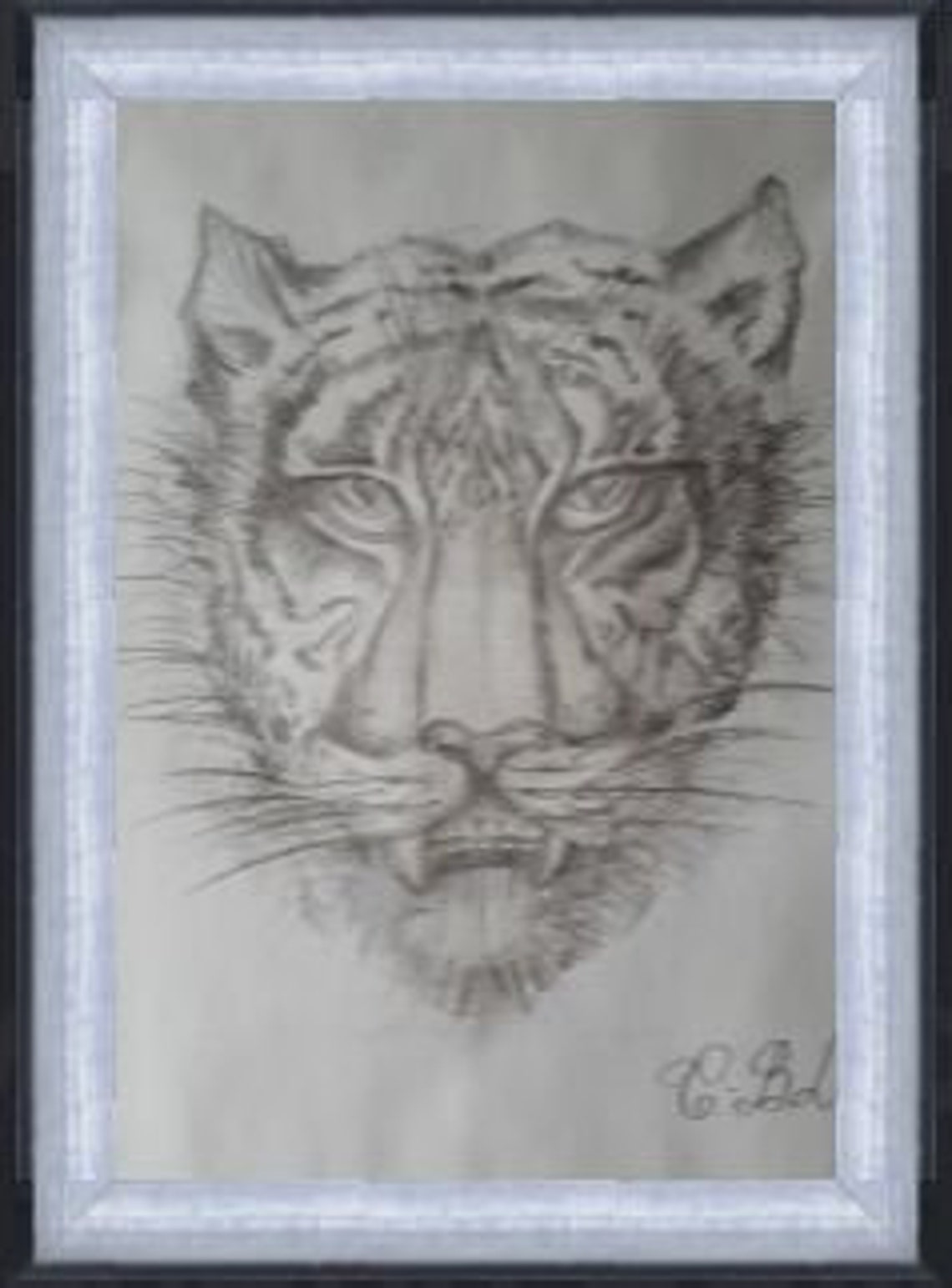 Drawing Tiger, Wild World, View From the Jungle.print.wildlife ...