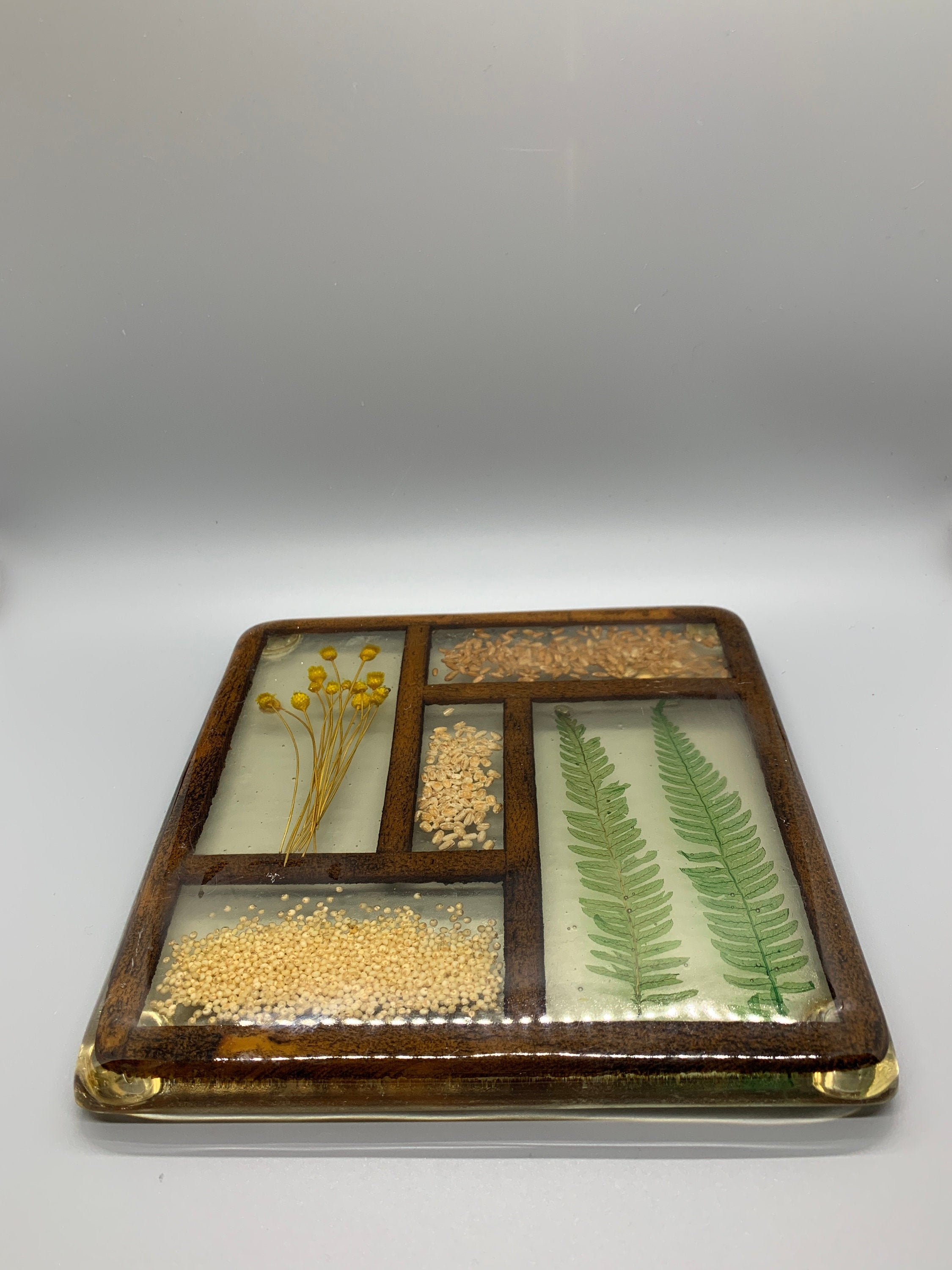 Trivets 1970s Boho Acrylic Trivet Wall Decor With Seeds Oats Flowers ...