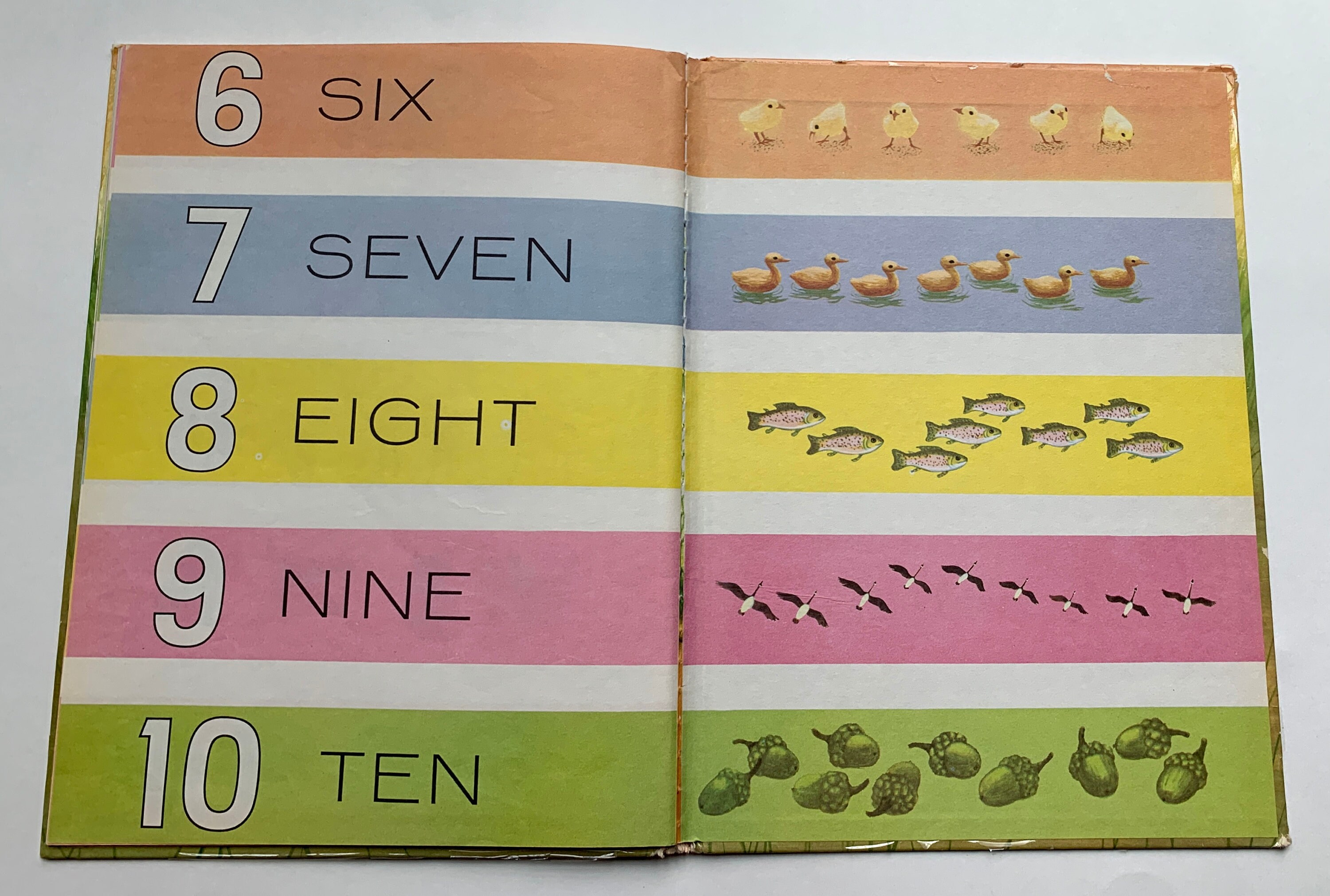 Vtg My Big Golden Counting Book 1967 Lillian Moore / Garth | Etsy