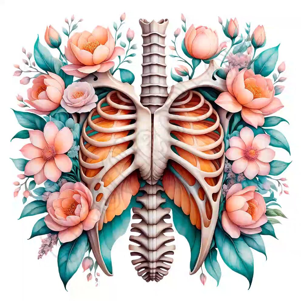 Cute Watercolor Floral Rib Cage Clipart Bundle, 14 High-quality Pngs ...