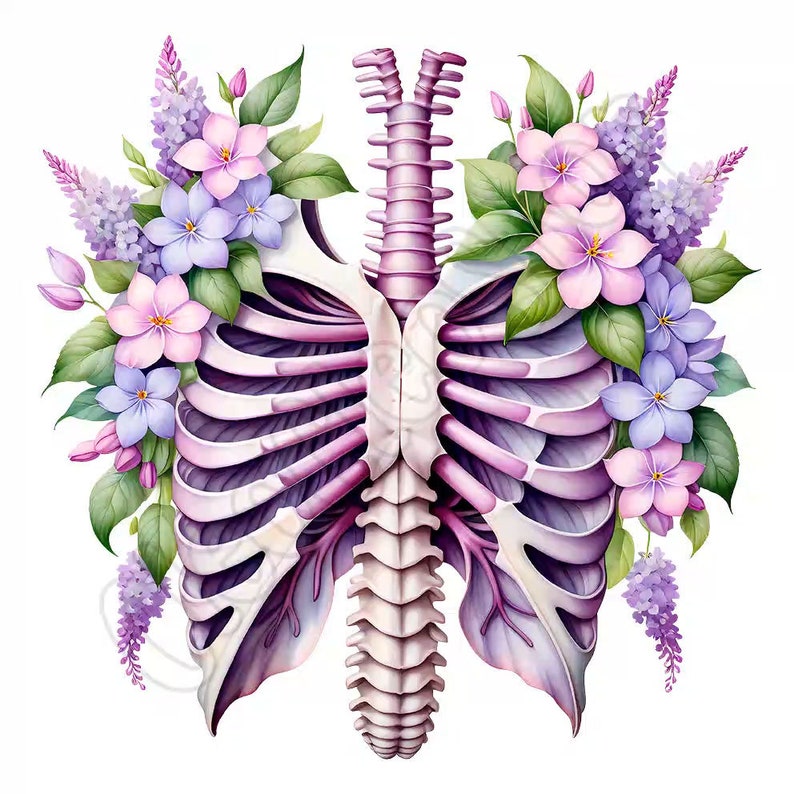 Cute Watercolor Floral Rib Cage Clipart Bundle, 14 High-quality Pngs ...