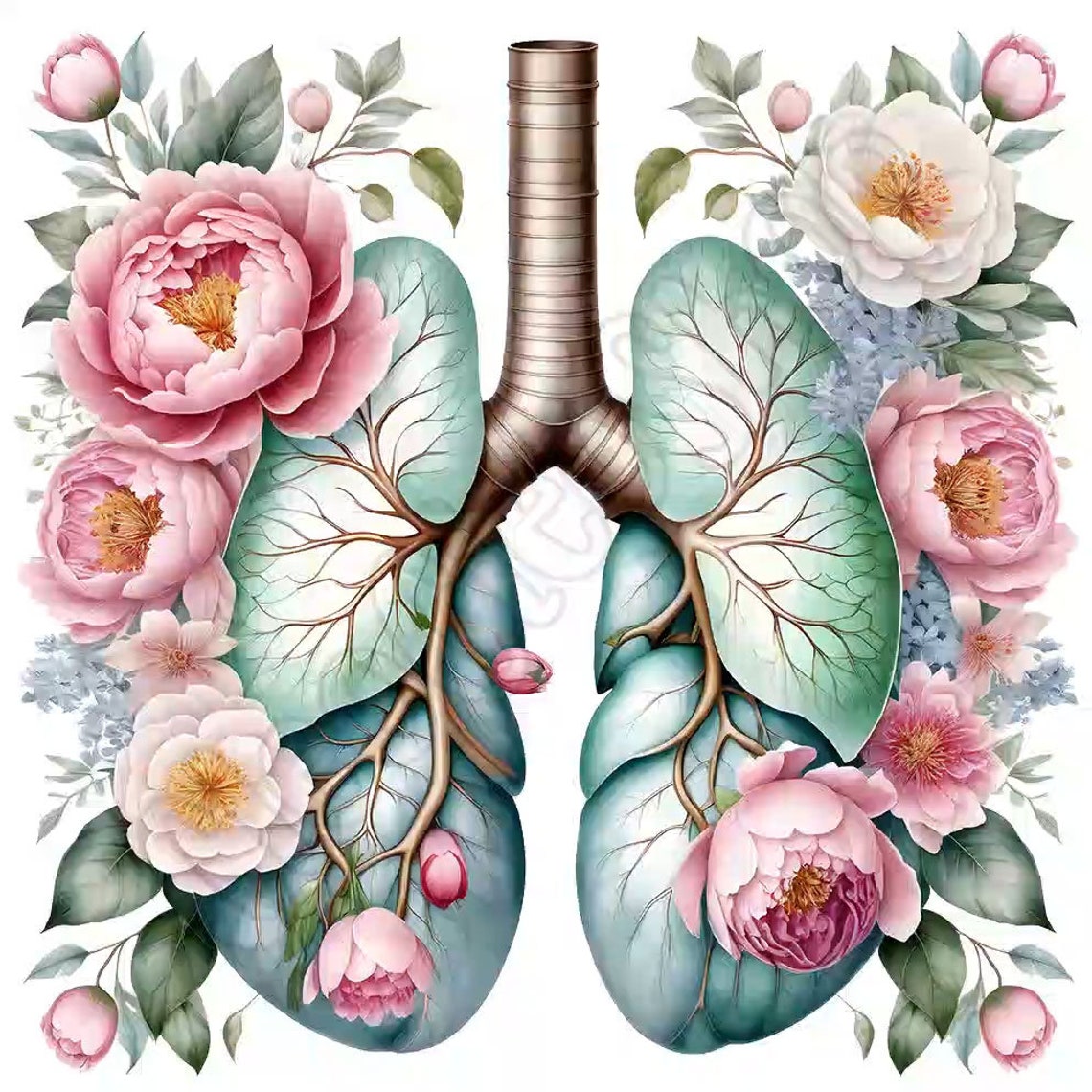 Cute Watercolor Floral Lungs Clipart Bundle, 14 High-quality Pngs, Wall ...