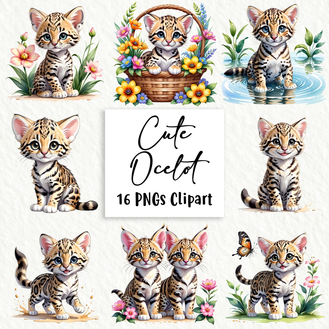 Watercolor Cute Ocelot Clipart Bundle, 16 High-quality Pngs, Wall Art ...