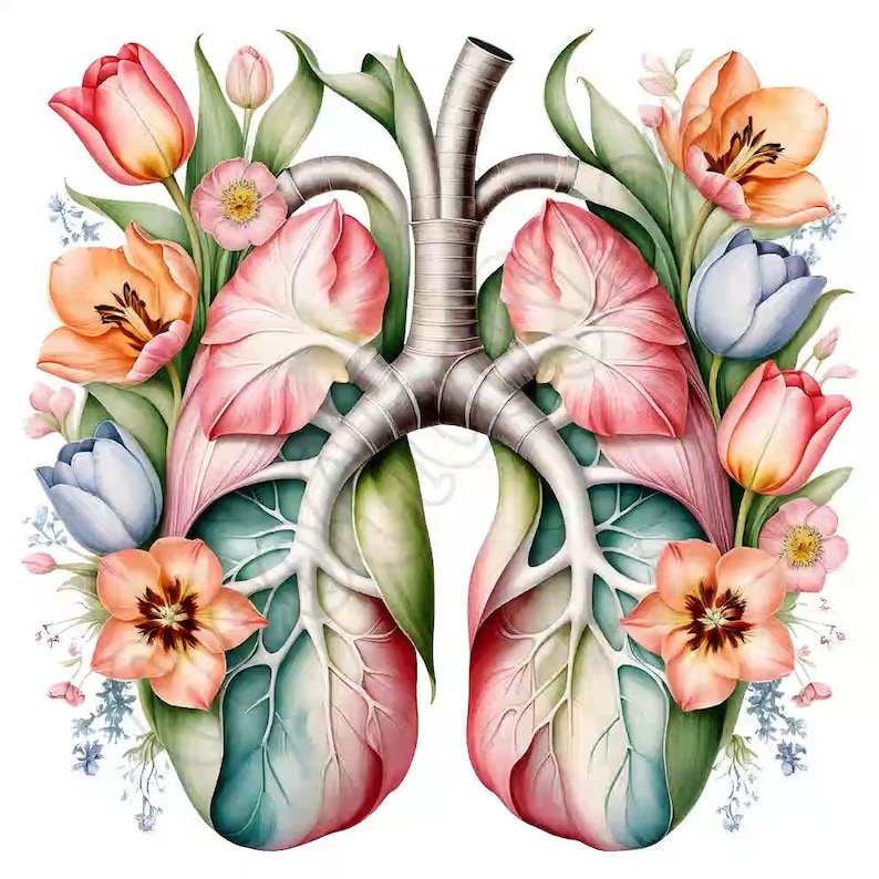 Cute Watercolor Floral Lungs Clipart Bundle, 14 High-quality Pngs, Wall ...
