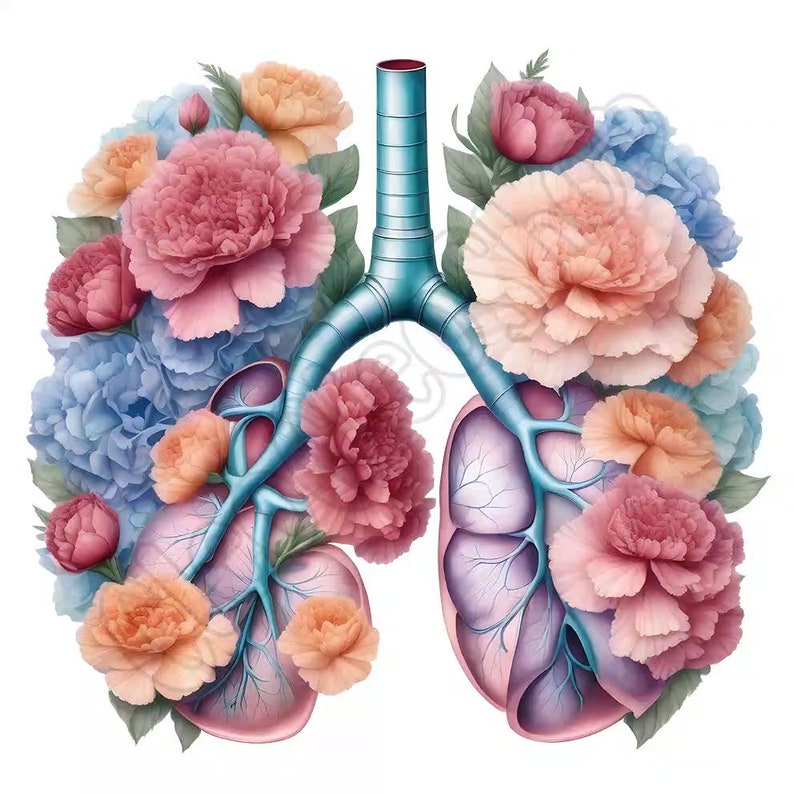 Cute Watercolor Floral Lungs Clipart Bundle, 14 High-quality Pngs, Wall ...