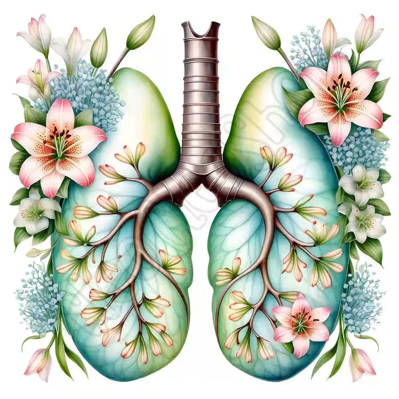 Cute Watercolor Floral Lungs Clipart Bundle, 14 High-quality Pngs, Wall ...