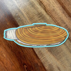 Alaska Razor Clam Sticker Weatherproof Durable Vinyl - Etsy