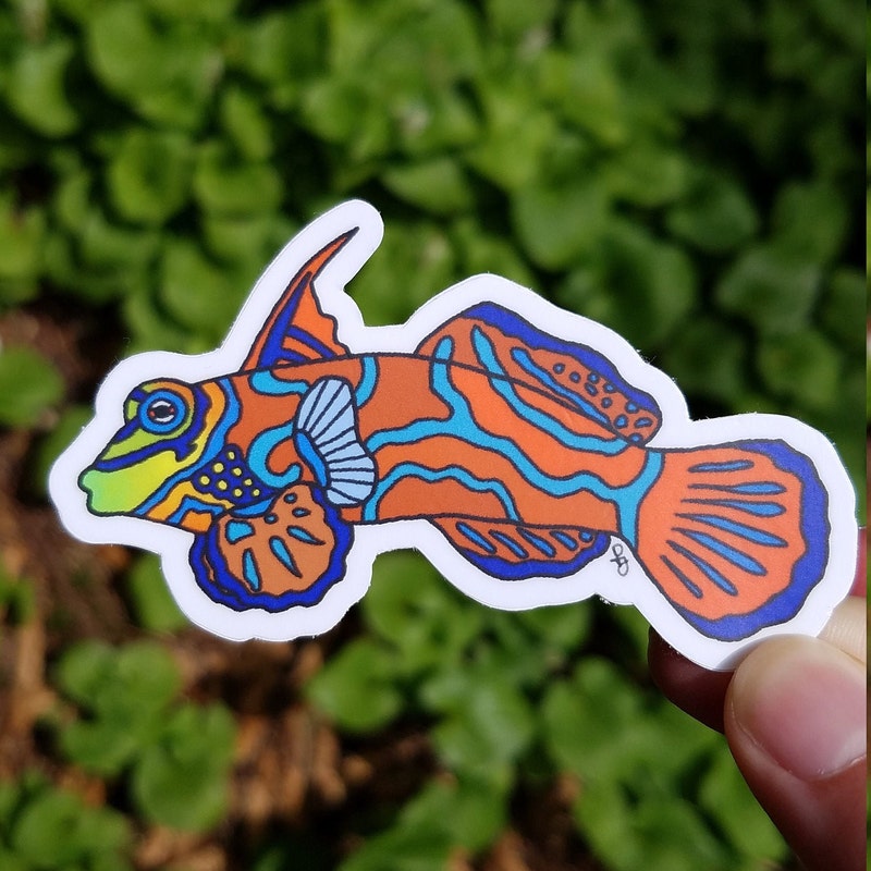 Mandarin Fish - Etsy