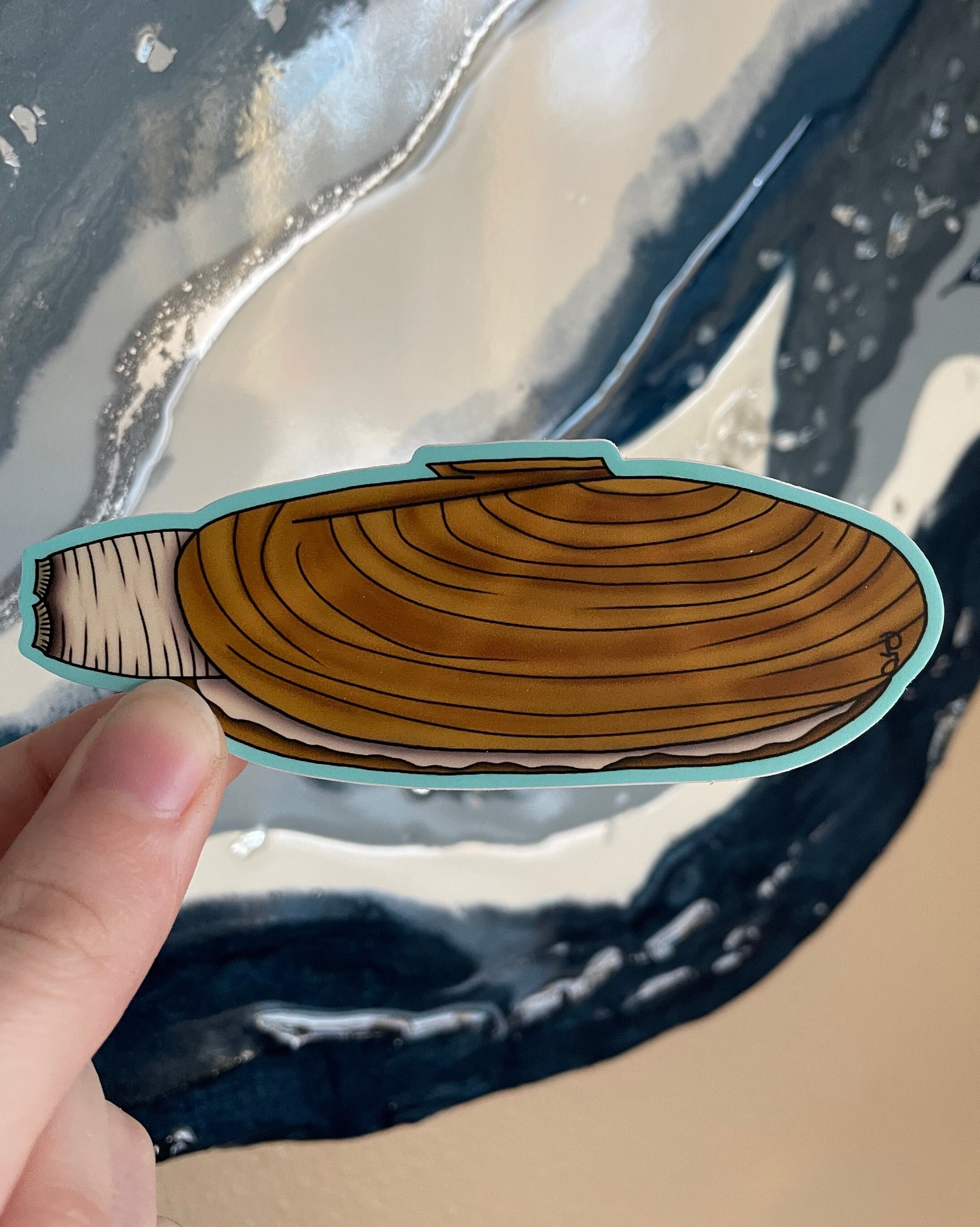 Alaska Razor Clam Sticker Weatherproof Durable Vinyl - Etsy