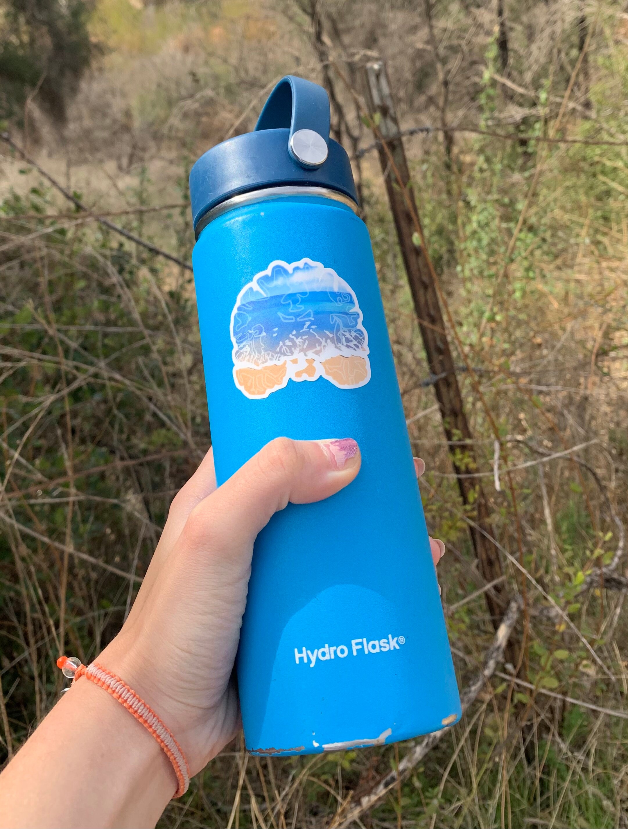 Beach Brain Sticker, MRI Coronal, Ocean Neuroscience Decal - Etsy